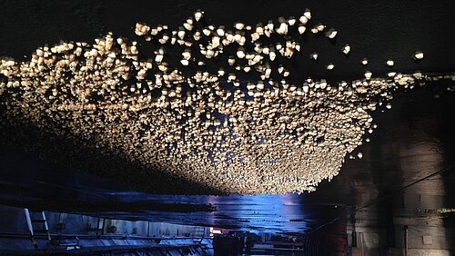 Barnacle biofouling threatens shipping industry’s decarbonisation ...