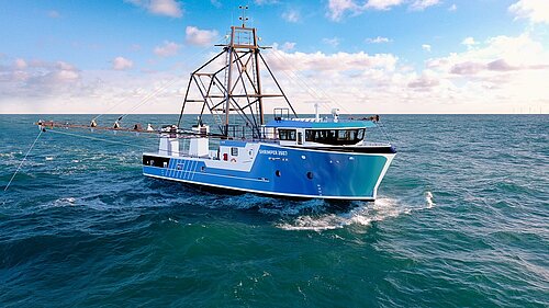 Damen develops new shrimp trawler design - Ship & Offshore