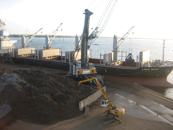 A strong crane for heavy and bulk cargoes for the Port of Odense - Ship ...